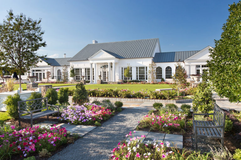 The Sycamore House – L.F. Jennings