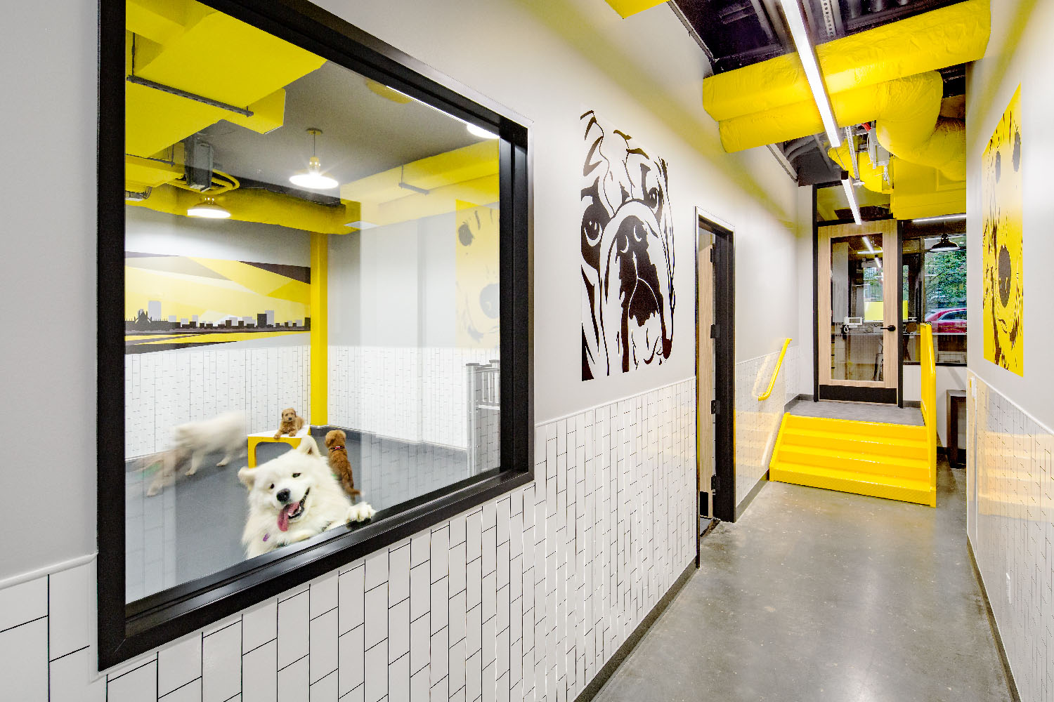 District Dogs – L.F. Jennings