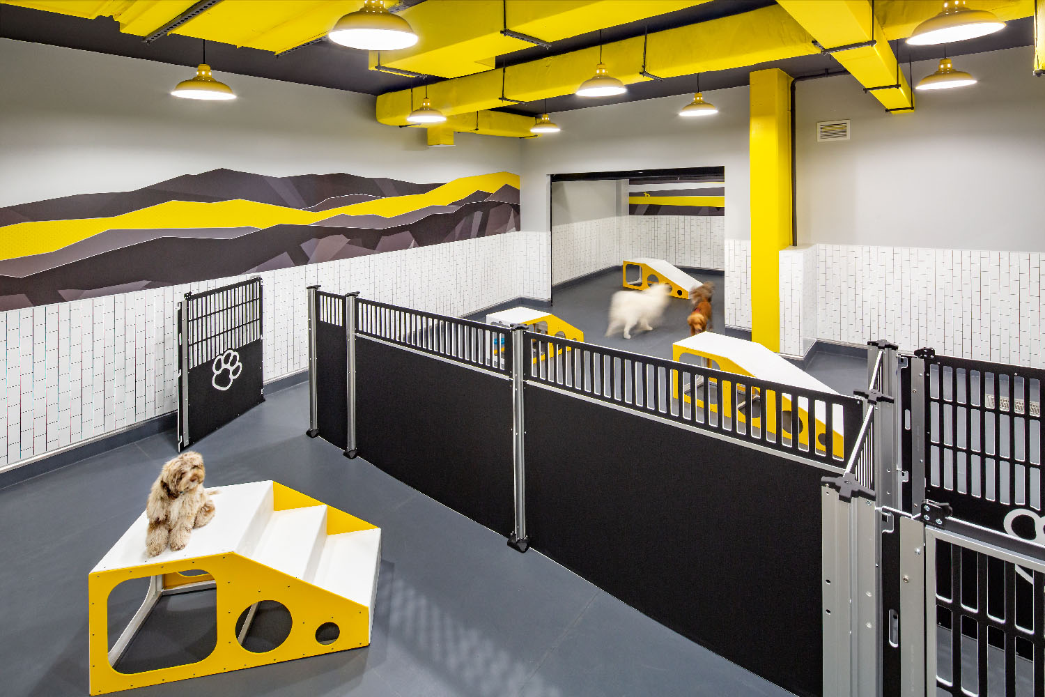 District Dogs – L.F. Jennings