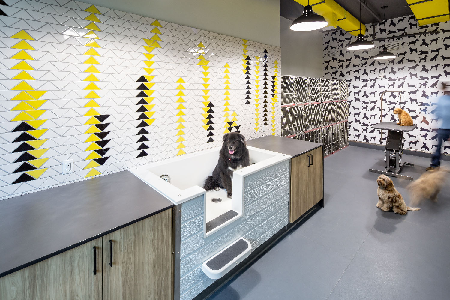 District Dogs – L.F. Jennings