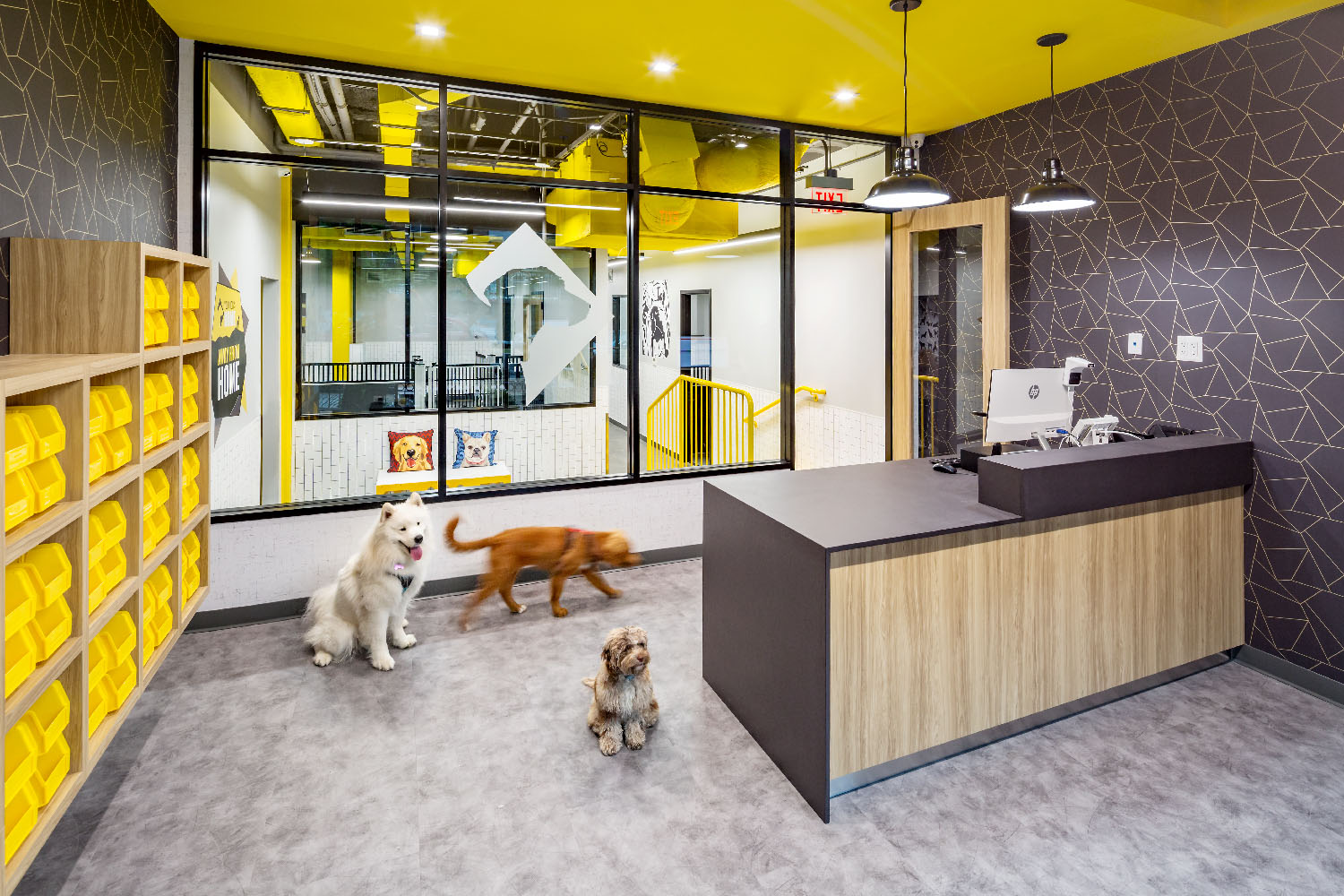 District Dogs – L.F. Jennings